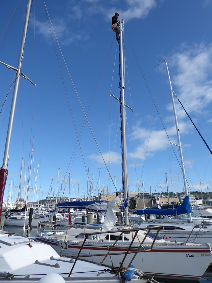 Mast Head Equipment Replacement and Installation – Aug 2020 – Halo Log Book