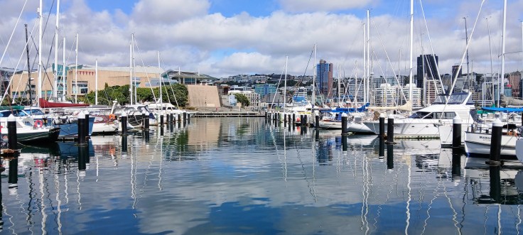 Waitangi Day Harbour Cruise – 6 Feb 2025 – Halo Log Book